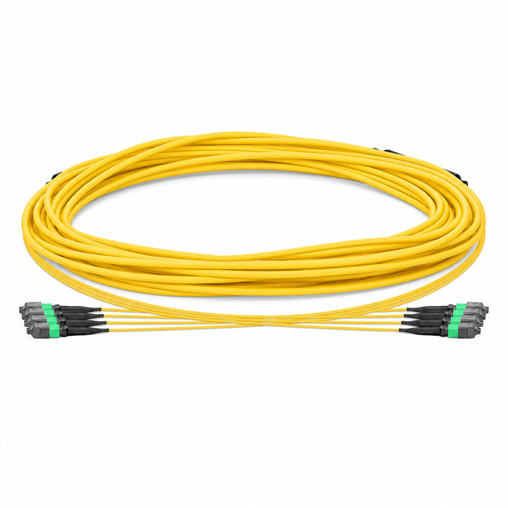 MTP/MPO Trunk Cables | HUAWELLUX